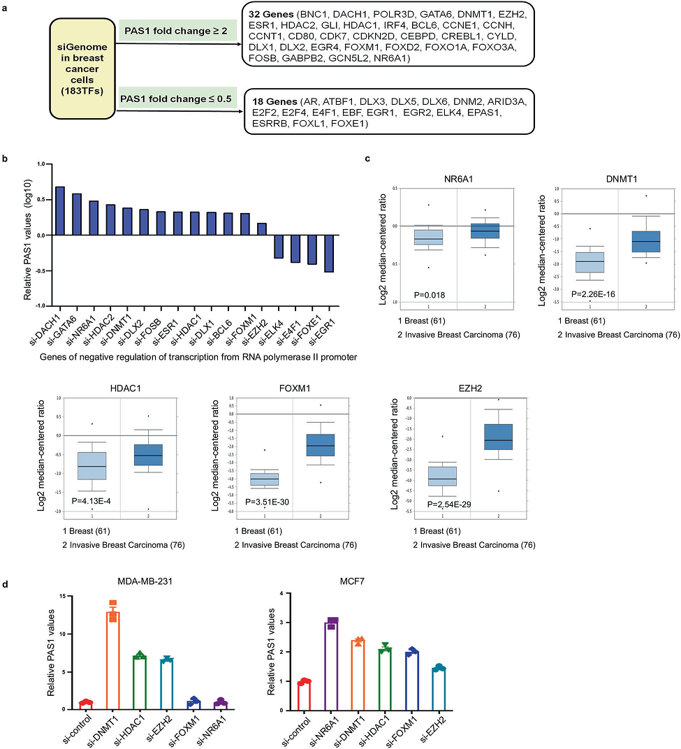 DNMT1-PAS1-PH20轴驱动乳腺癌生长和转移 - 墨天轮