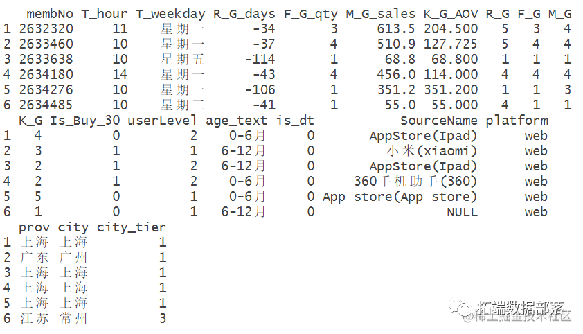 R语言LASSO特征选择、决策树CART算法和CHAID算法电商网站购物行为预测分析 - 墨天轮