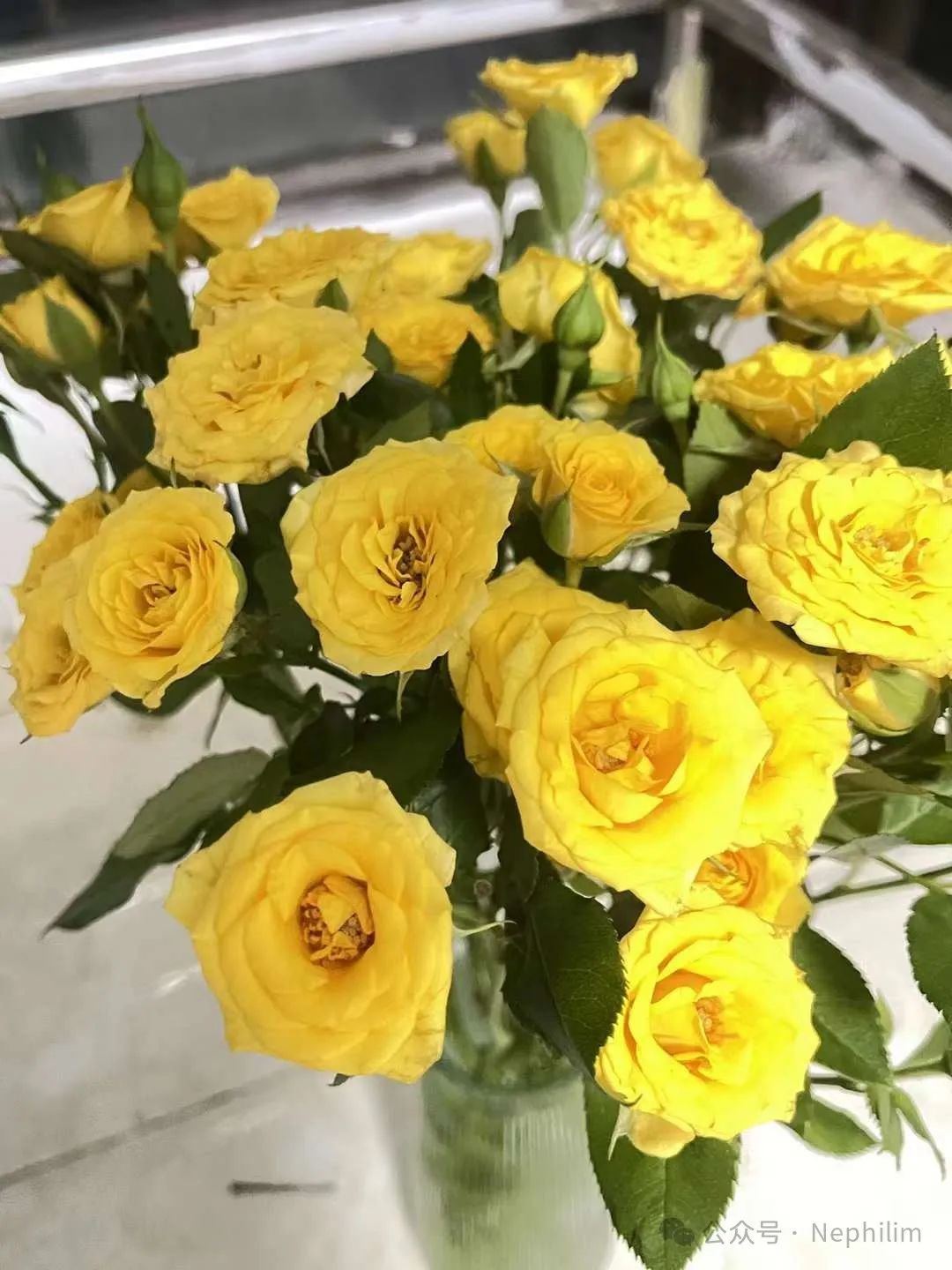 Vue3 + Vite：SVG图标（unplugin-icons） - 墨天轮