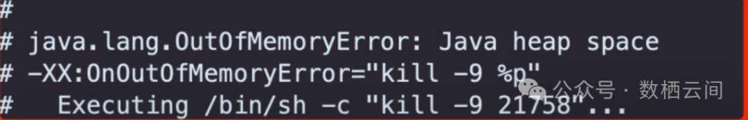 Apache Doris FE JVM 堆内存异常案例分析 - 墨天轮