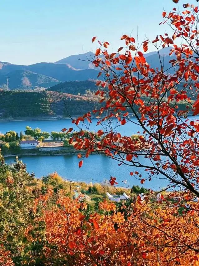 Redis HyperLogLog深入分析 - 墨天轮