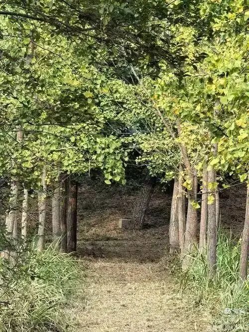 Redis ACL（访问控制列表）：深度解析与最佳实践 - 墨天轮