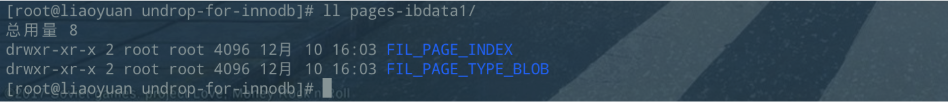 使用undrop-for-innodb恢复drop掉的数据 - 墨天轮