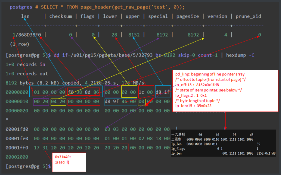 1_PostgreSQL深入解析heap表物理结构 - 墨天轮