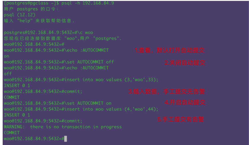  PostgreSQL PSQL 