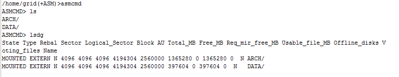 oracle 19c 查询v$asm_diskgroup 为空 - 墨天轮