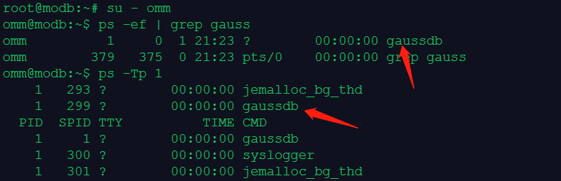 openGauss每日一练第1天之gsql,gs_ctl工具使用 - 墨天轮