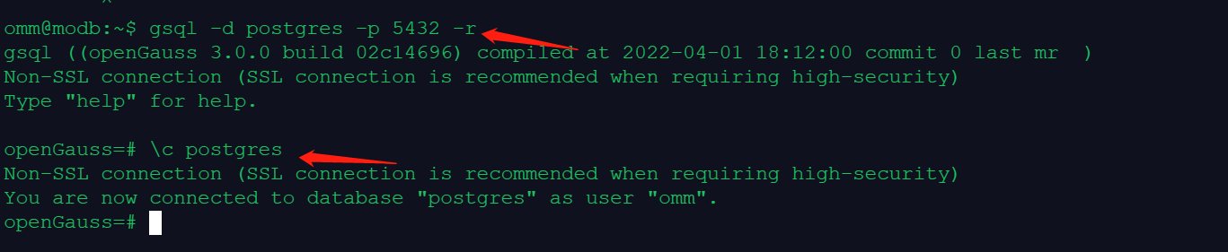 openGauss每日一练第2天 | openGauss客户端工具gsql的使用 - 墨天轮