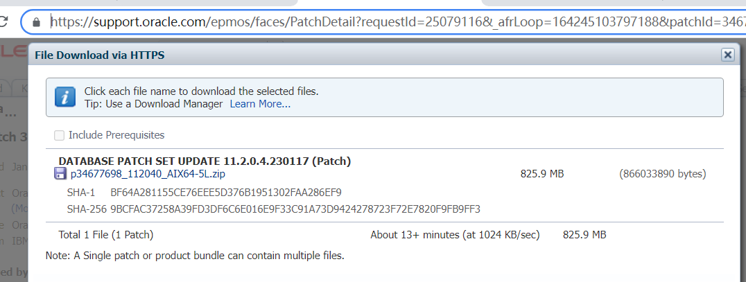 linux aix oracle 11.2.0.4 最新补丁集 2023年1月份补丁集：11.2.0.4.230117 DB PSU GI ...
