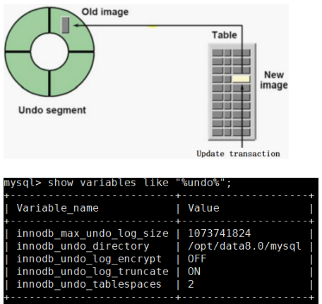 MySQL日志成员都有谁 - 墨天轮