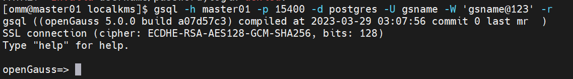 详解openGauss客户端工具gsql的高级用法 - 墨天轮