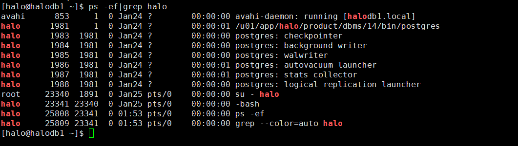 Halo DB 14小白零基础系列（7）--HaloDB中的体系结构 - 墨天轮