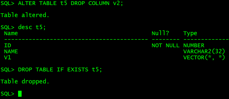 数据库管理-第156期 Oracle Vector DB & AI-07（20240227） - 墨天轮