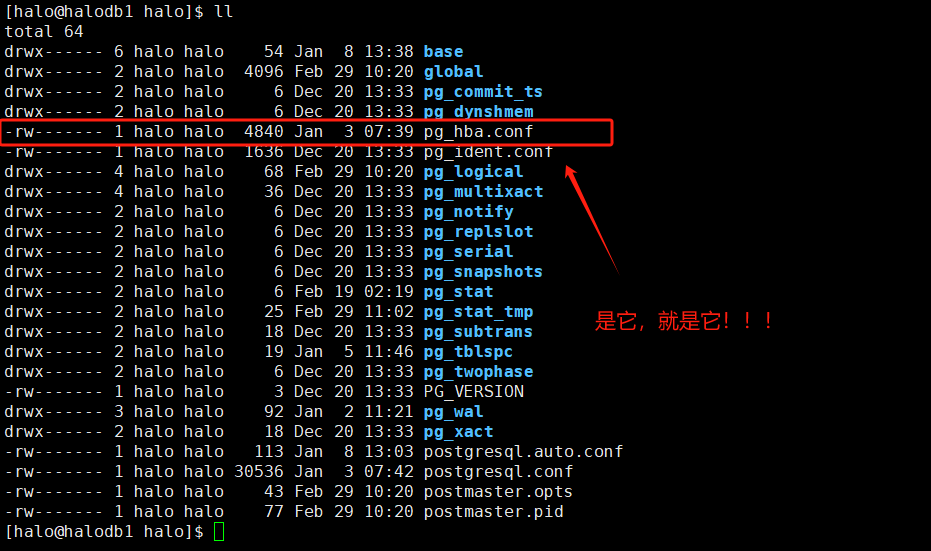 Halo DB 14 小白零基础系列（9）--HaloDB中的pg_hba.conf文件 - 墨天轮