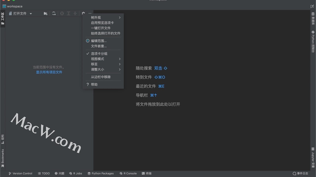 JetBrains DataSpell for Mac：数据科学家的得力助手，让数据处理与分析更高效 - 墨天轮