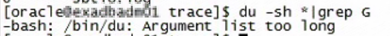 du、rm提示argument list too long - 墨天轮