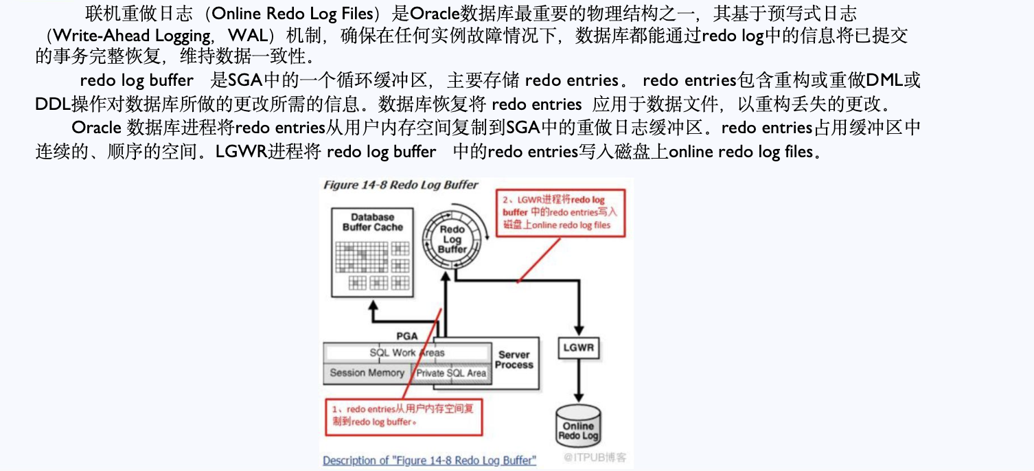 深入解析 Oracle Redo Log：从结构到恢复机制全景剖析 - 墨天轮