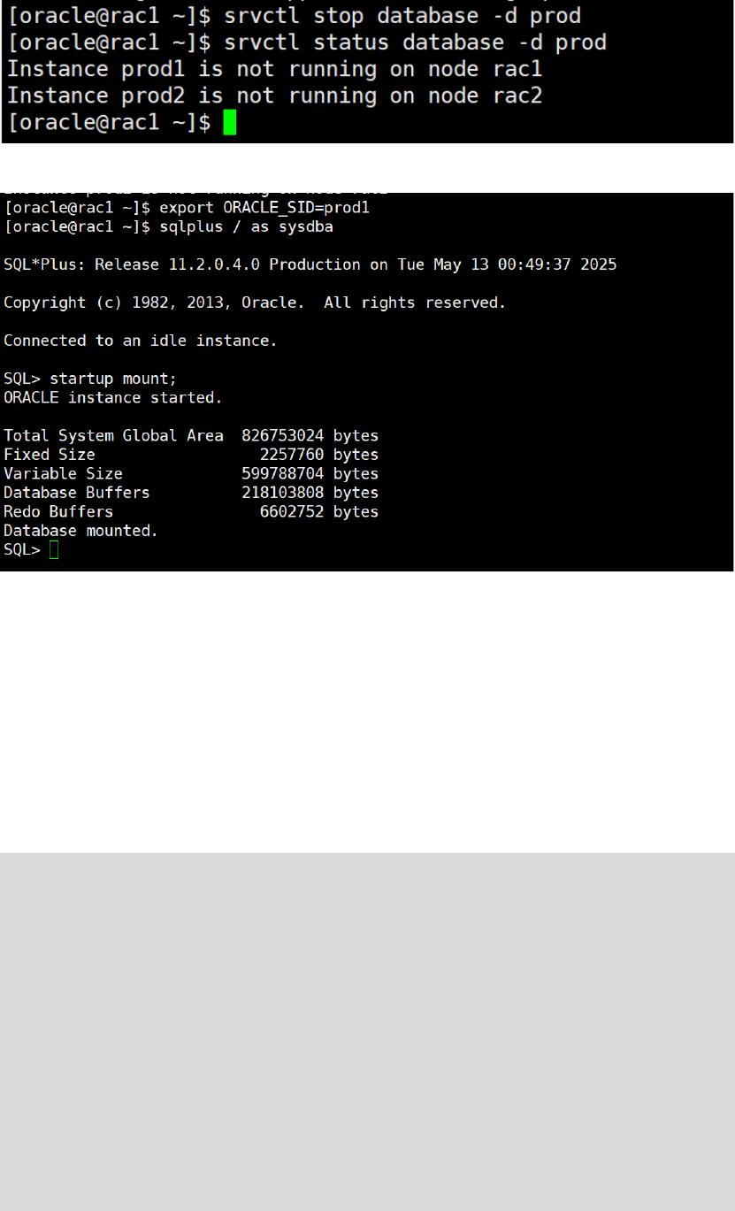 oracle rac 修改dbid和dbname.docx - 墨天轮文档
