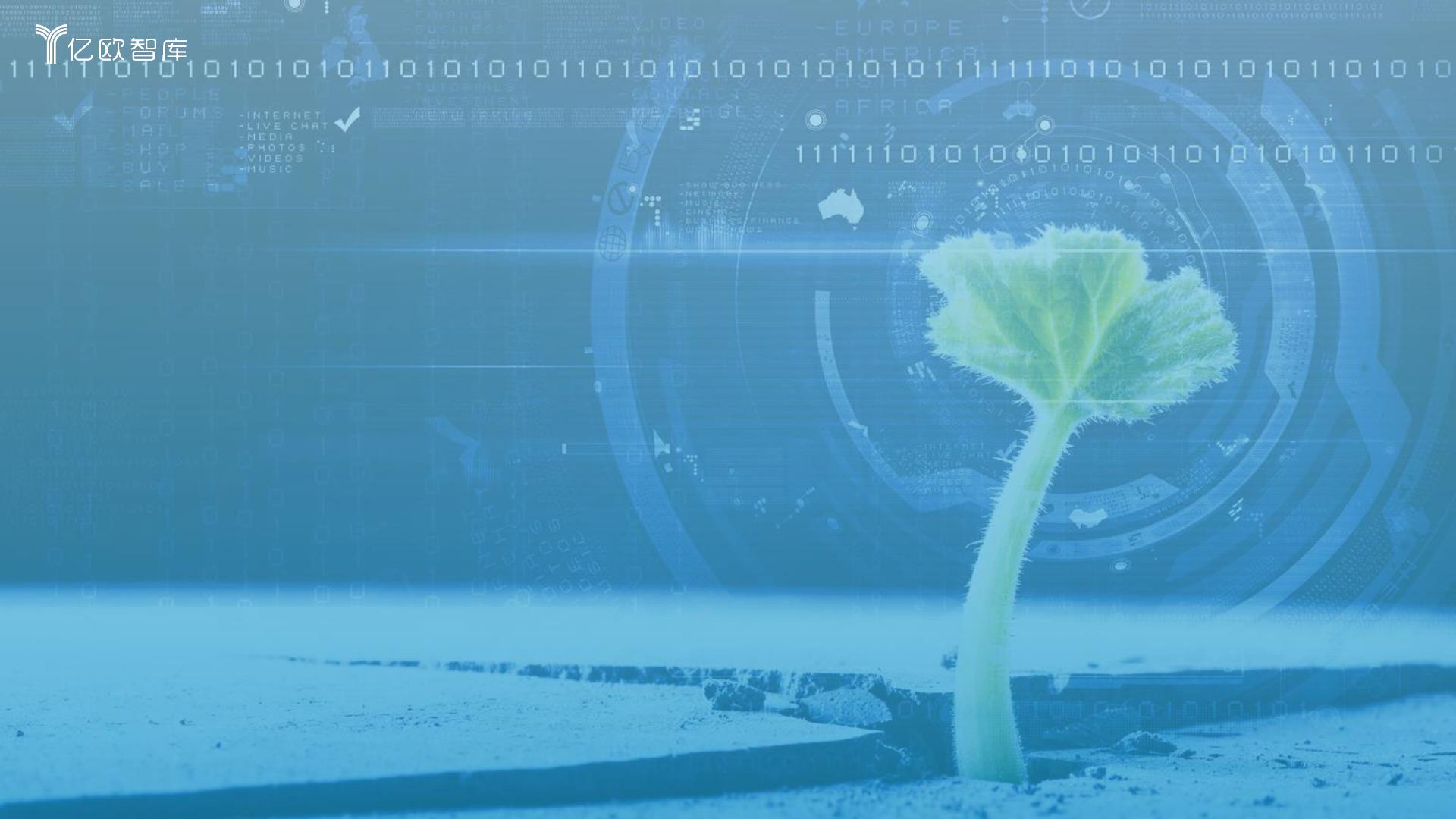 中国农业生产数字化研究报告.pdf - 墨天轮文档