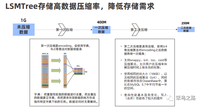 OceanBase存储引擎与备份恢复 - 墨天轮