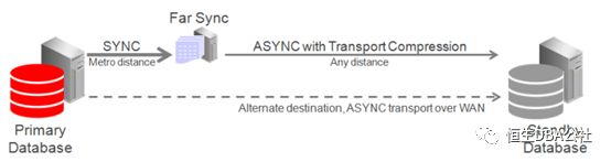 oracle数据库容灾利器之 Far Sync - 墨天轮