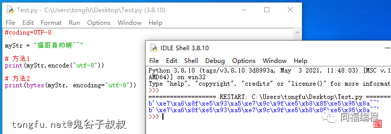 Python bytes str python-bytes-str