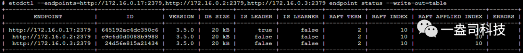 Docker etcd docker-etcd