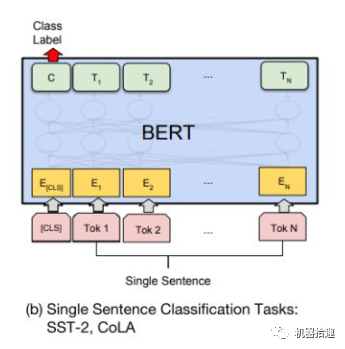 透过Attention看BERT - 墨天轮