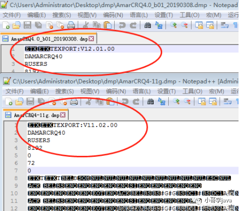 Oracle导出表（即DMP文件）的两种方法 - 墨天轮