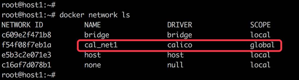 如何部署 Calico 网络？- 每天5分钟玩转 Docker 容器技术（67） - 墨天轮
