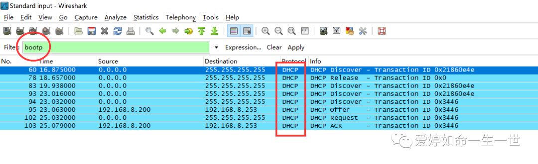 Kali linux DHCP_DOS攻击演示 - 墨天轮