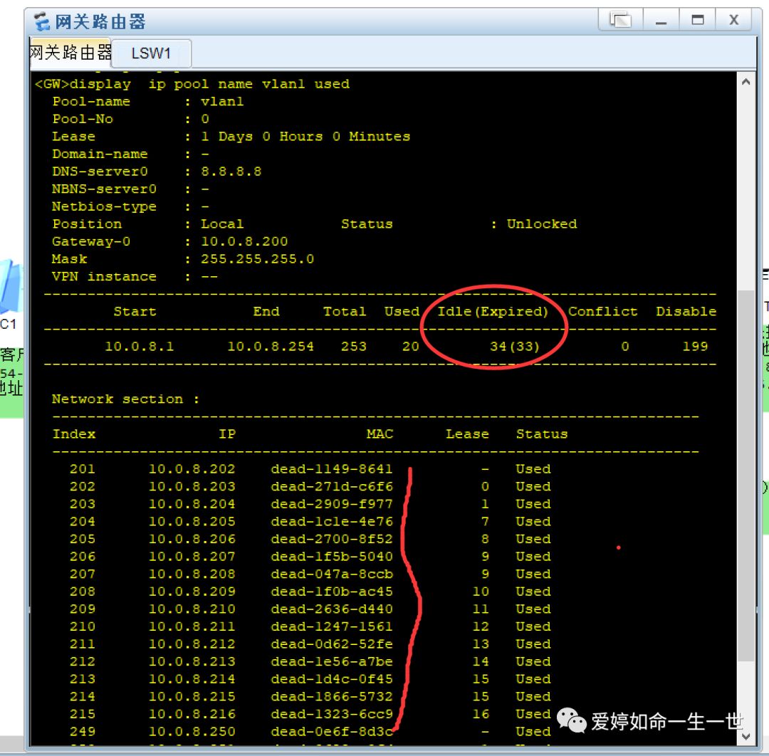 Kali linux DHCP_DOS攻击演示 - 墨天轮