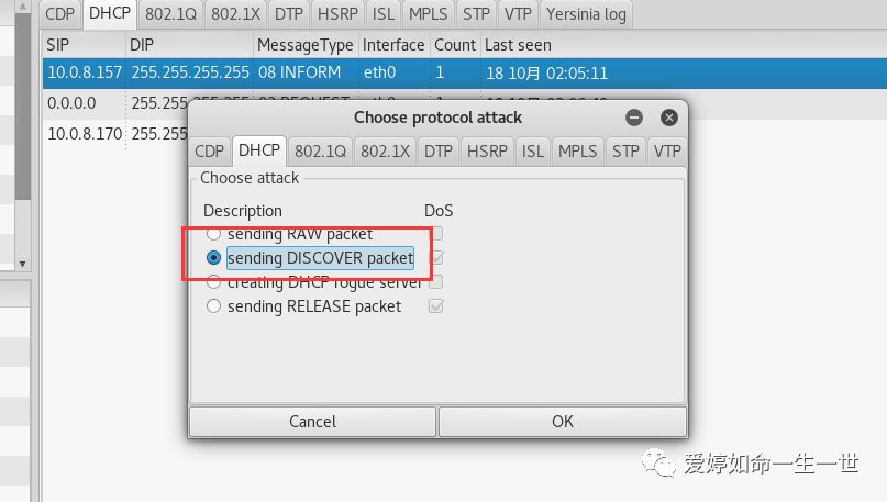 Kali linux DHCP_DOS攻击演示 - 墨天轮