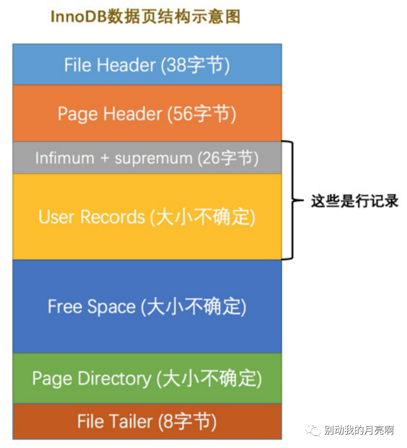 InnoDB数据页结构 - 墨天轮