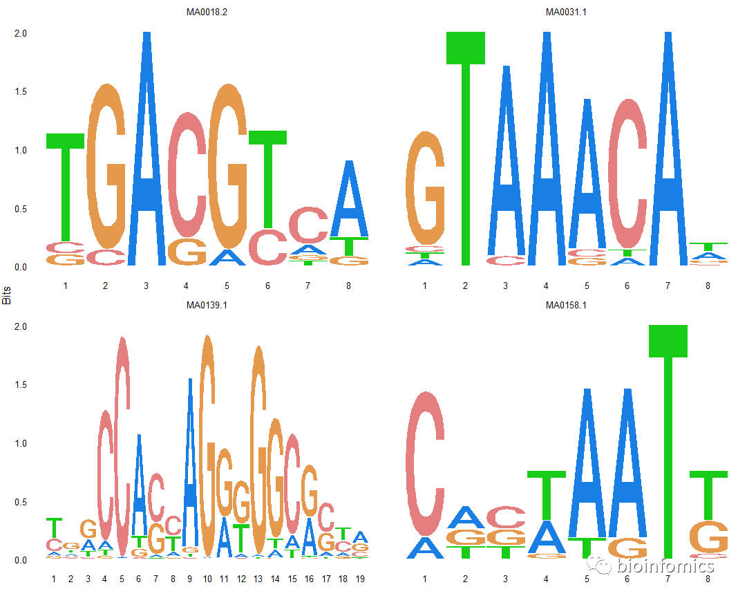 R语言可视化（二十七）：序列logo图绘制 - 墨天轮