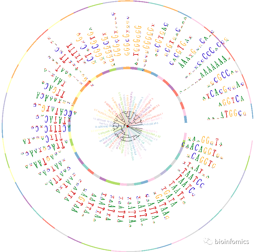 R语言可视化（二十七）：序列logo图绘制 - 墨天轮