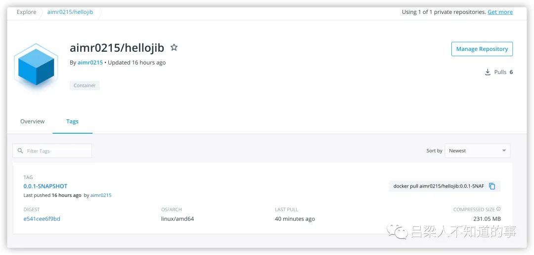 原来通过Jib可以使springboot项目容器化如此简单 - 墨天轮
