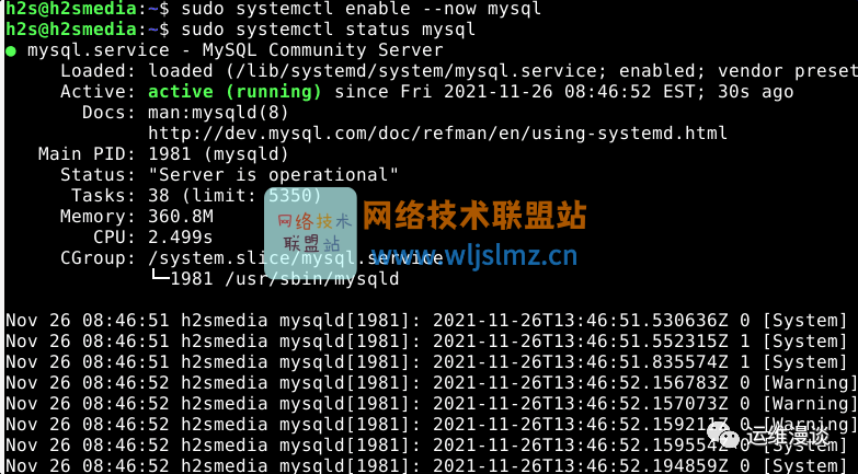 Debian 11 Bullseye MySQL 8 0 debian-11-bullseye-mysql-8-0