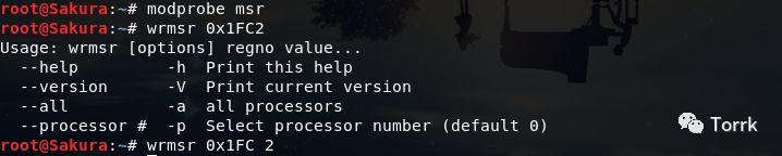 Linux中关闭BD PROCHOT - 墨天轮