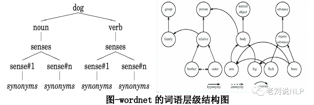 知识图谱技术：WordNet、Babelnet等经典语言知识库项目案例构建剖析 - 墨天轮