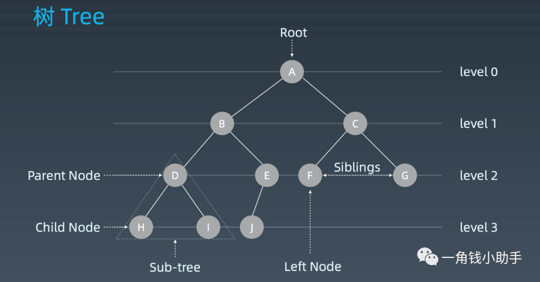 Trie树的基本实现与特性 - 墨天轮