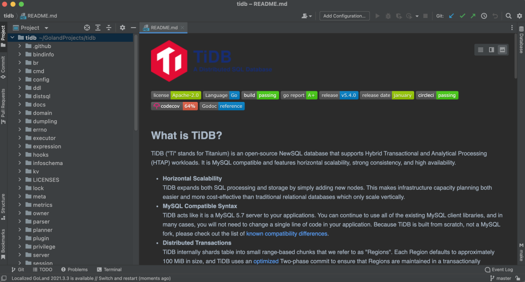 使用 Goland 编译和调试 TiDB 源码 - 墨天轮
