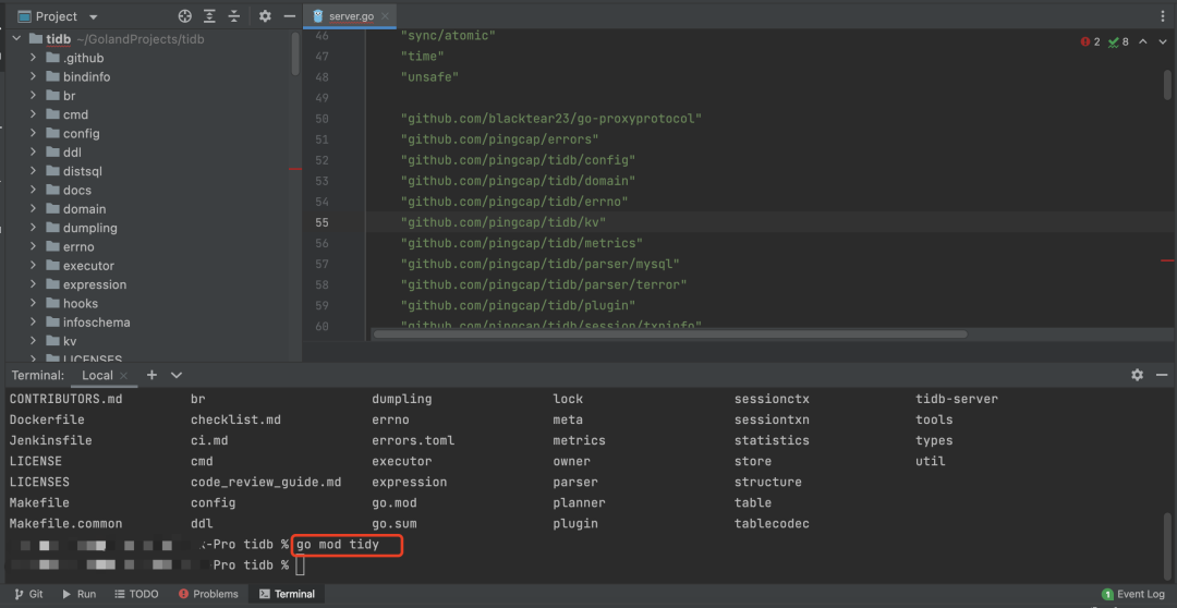 使用 Goland 编译和调试 TiDB 源码 - 墨天轮