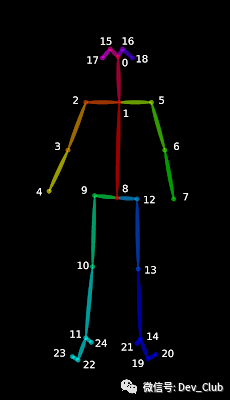 openpose重绘json里的骨骼信息 - 墨天轮