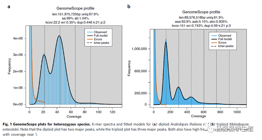 GenomeScope2评估基因组大小 - 墨天轮