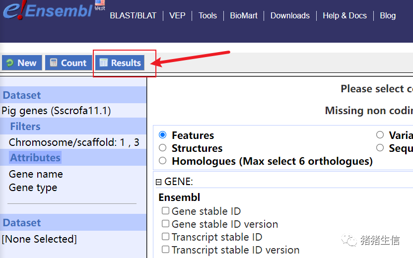 使用Ensembl数据库在线版的BioMart工具获取自定义的数据资源 - 墨天轮