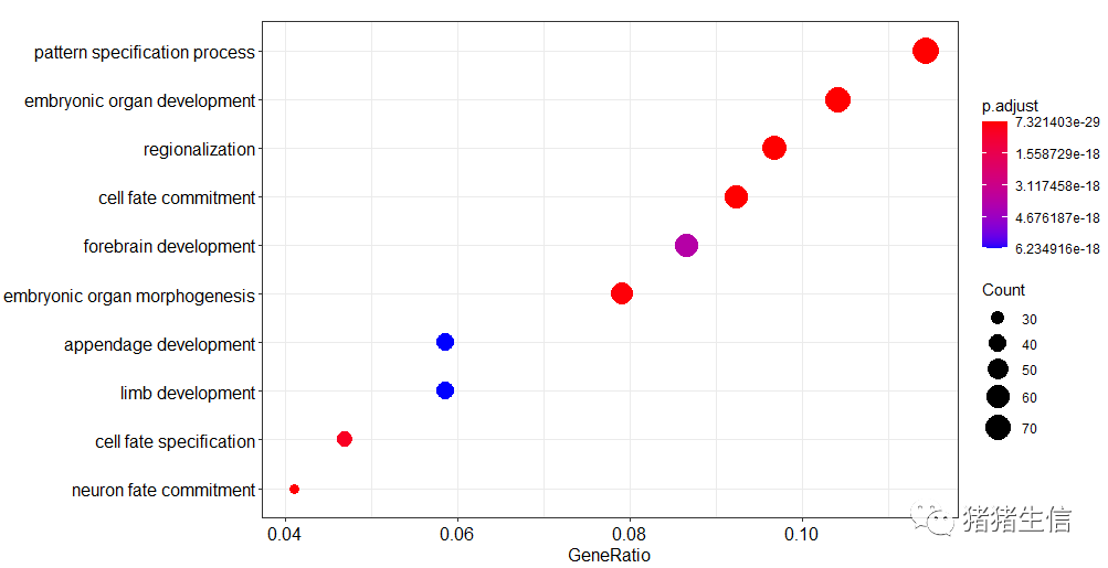 R语言使用ChIPseeker包注释ChIPseq数据 - 墨天轮