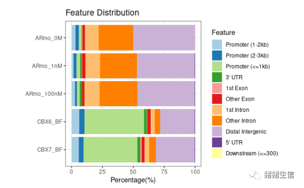 R语言使用ChIPseeker包注释ChIPseq数据 - 墨天轮