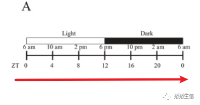 R语言Mfuzz包：分析时间序列的组学数据 - 墨天轮