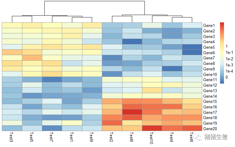 R语言使用pheatmap包绘制热图 - 墨天轮